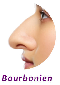 Les types de nez - Chirurgie-avant-apres.fr