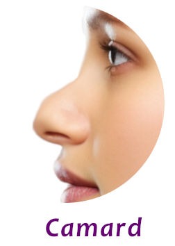 Les types de nez - Chirurgie-avant-apres.fr